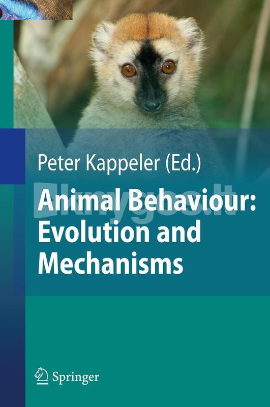 Animal Behaviour: Evolution and Mechanisms | Knygos.lt
