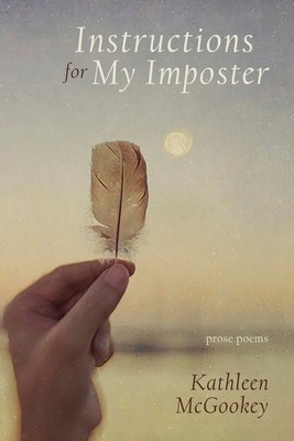 Instructions for My Imposter | Knygos.lt