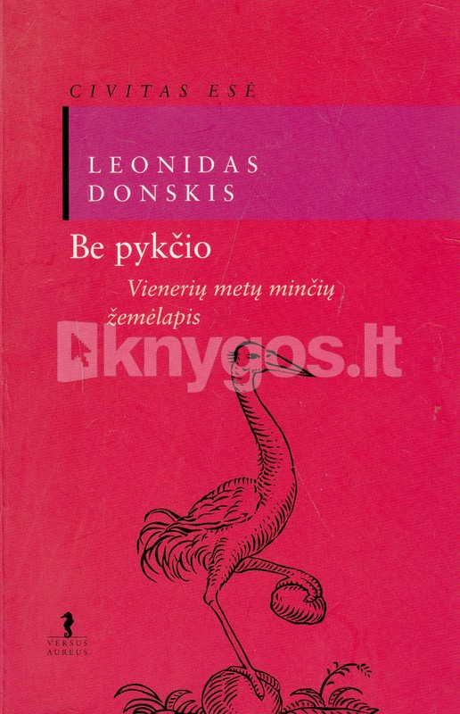 Be pykčio: vienerių metų minčių žemėlapis | Knygos.lt