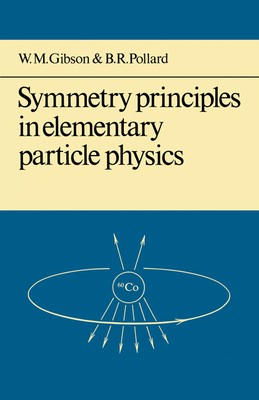 Symmetry Principles Particle Physics | Knygos.lt
