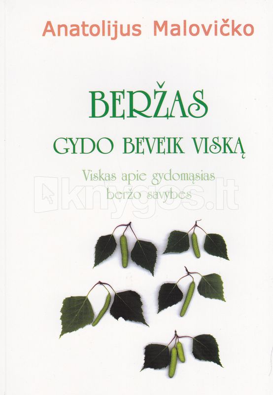 Beržas gydo beveik viską. Viskas apie gydomąsias beržo..