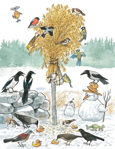 Metai su Petsonu ir Findusu. Kurk ir eksperimentuok su gamta!