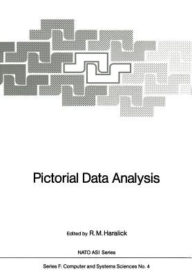 Pictorial Data Analysis | Knygos.lt