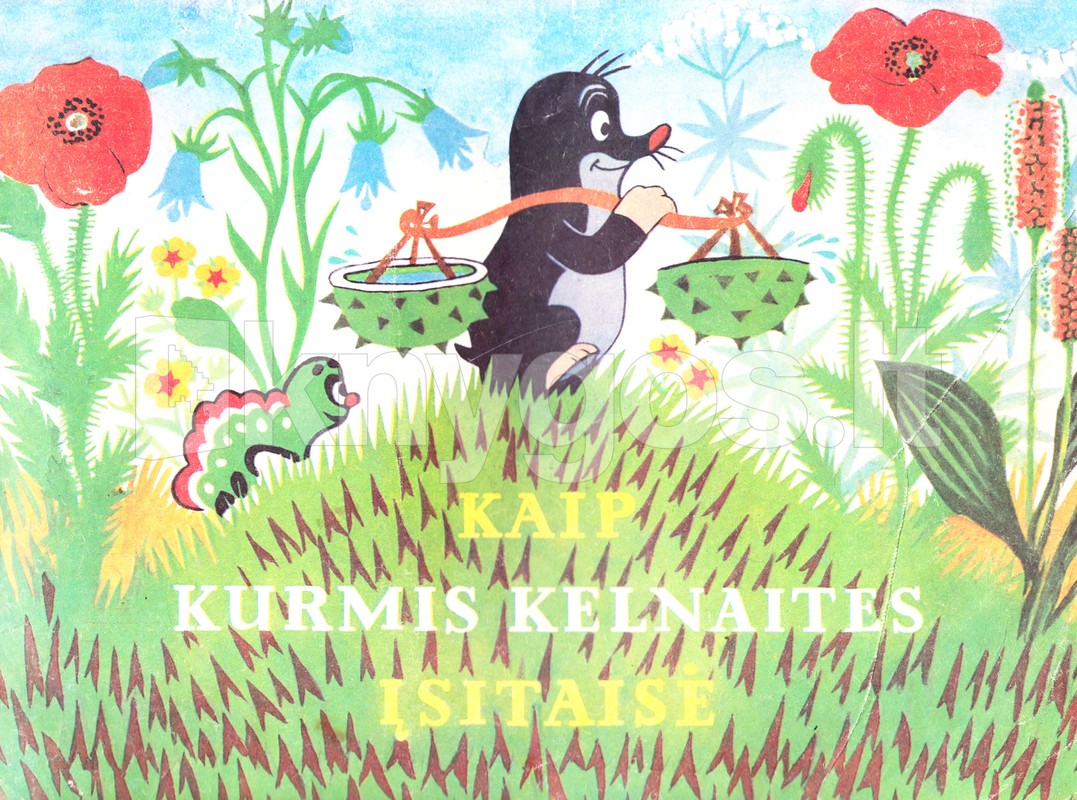 Kaip Kurmis kelnaites įsitaisė | Knygos.lt