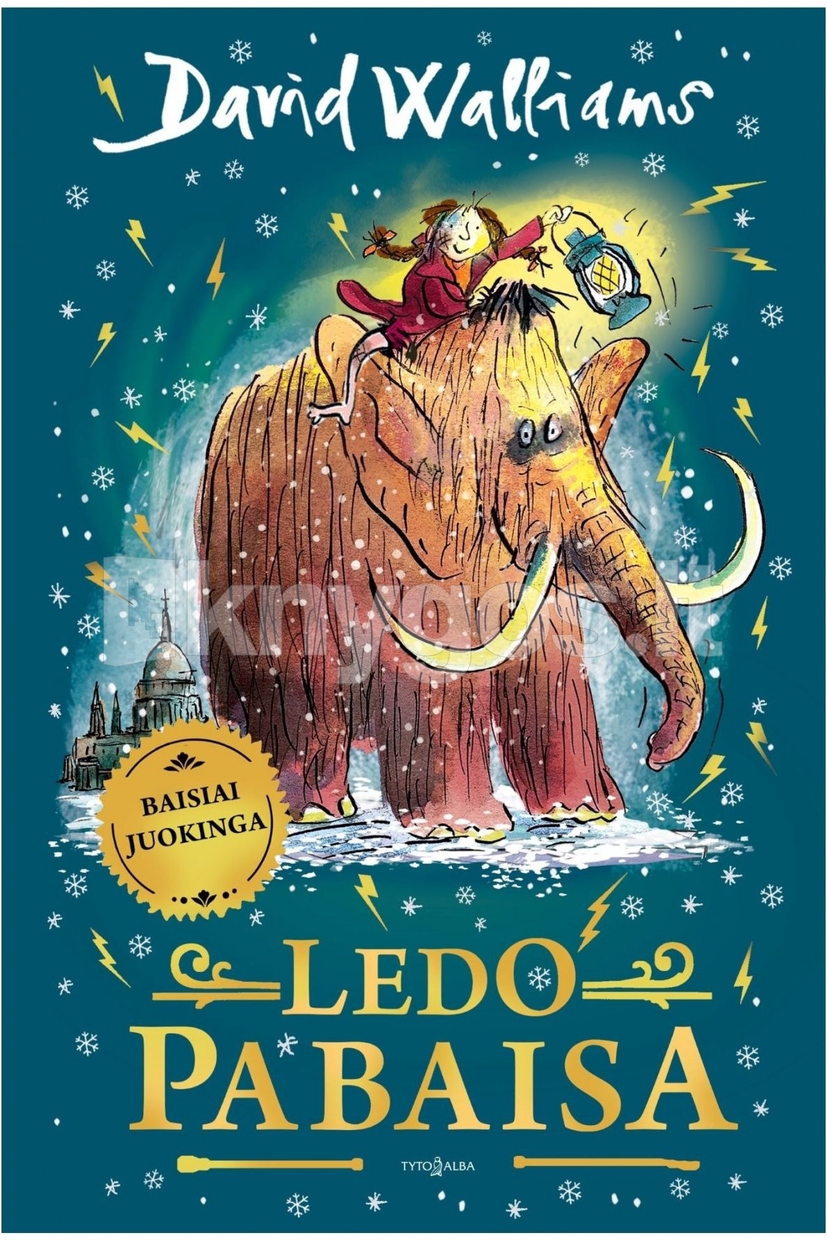 Ledo pabaisa - Knygos.lt