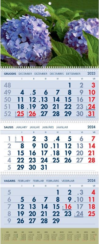 Sieninis kalendorius 2024 m. HORTENZIJA | Knygos.lt