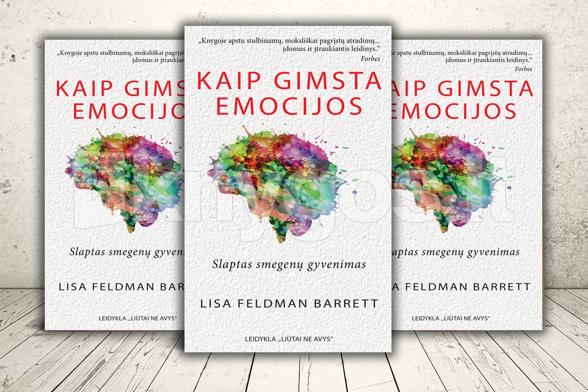 Kaip gimsta emocijos. Slaptas smegenų gyvenimas