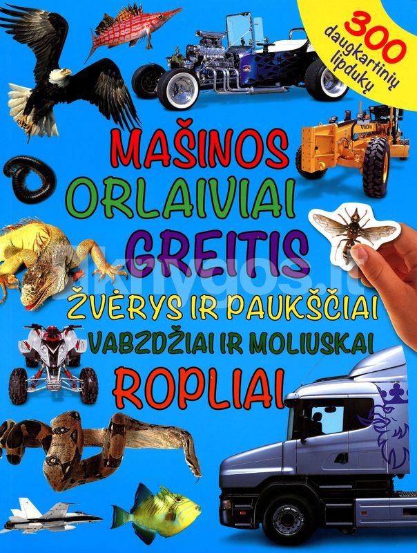 Mašinos. Orlaiviai. Greitis. Žvėrys ir paukščiai. Dydžiai. Vabzdžiai ir ...