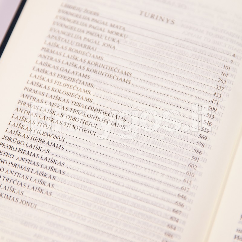 Naujasis Testamentas (lietuvių/rusų k.) | Knygos.lt