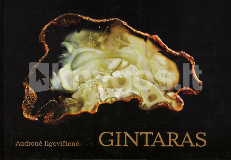 Gintaras (skaityta knyga).. | Knygos.lt