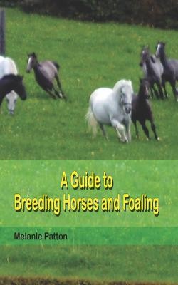 A Guide to Breeding Horses and Foaling | Knygos.lt