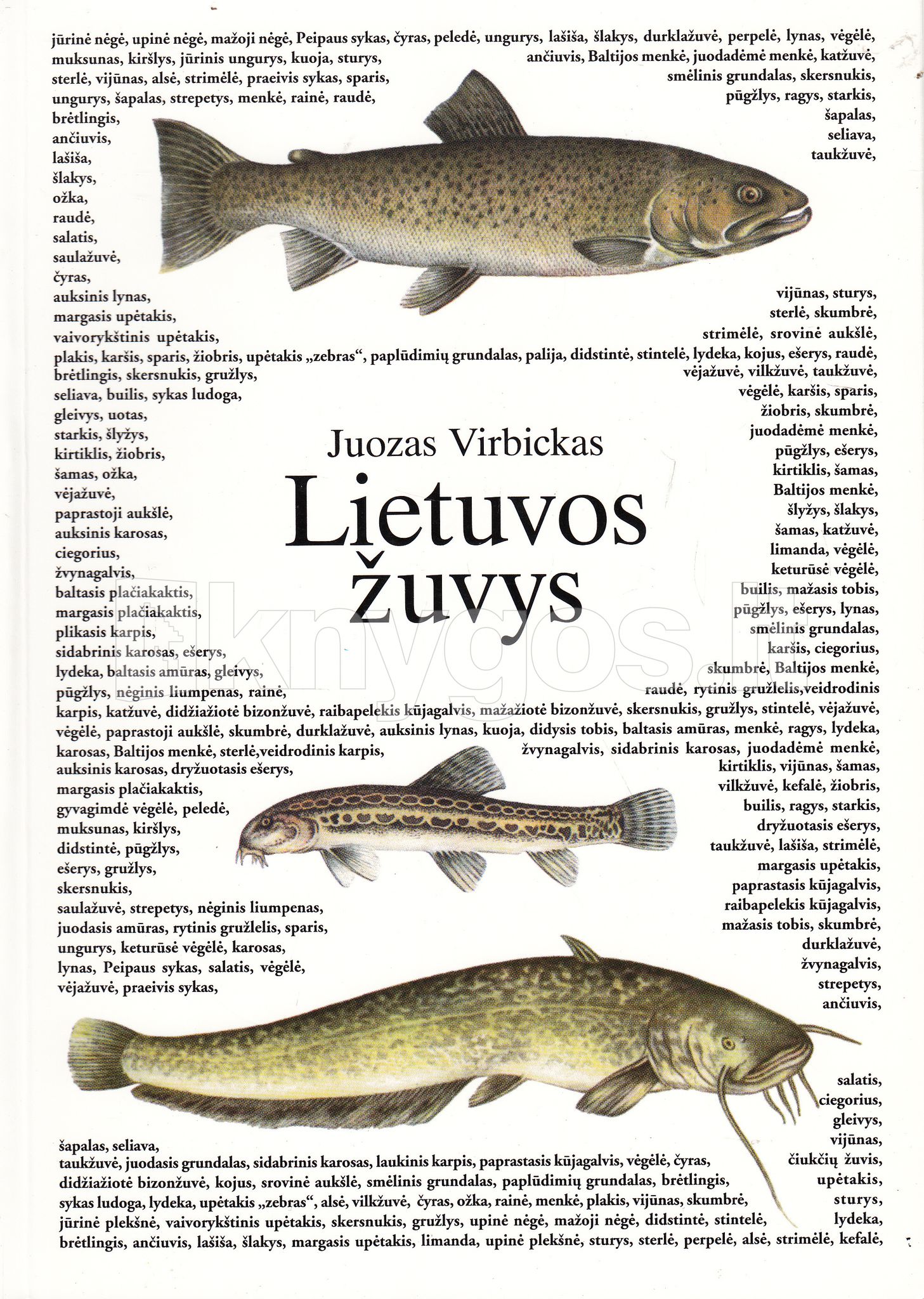 Lietuvos žuvys - Knygos.lt