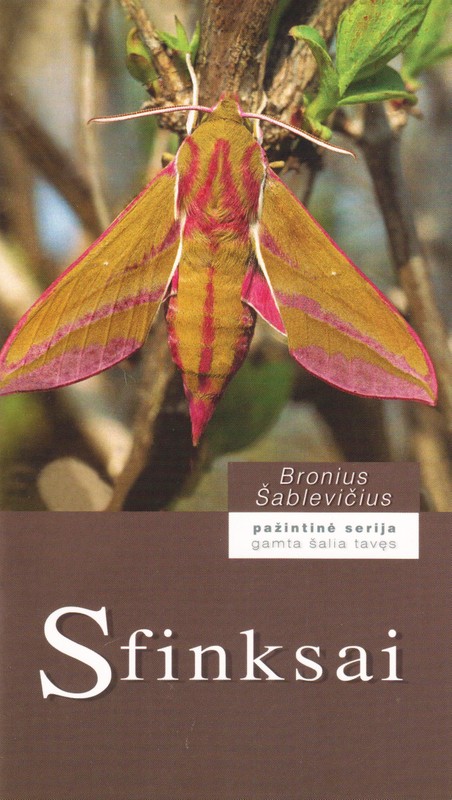 Sfinksai | Knygos.lt