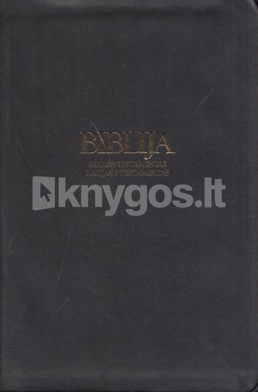 Biblija. Senasis testamentas. Naujasis testamenas