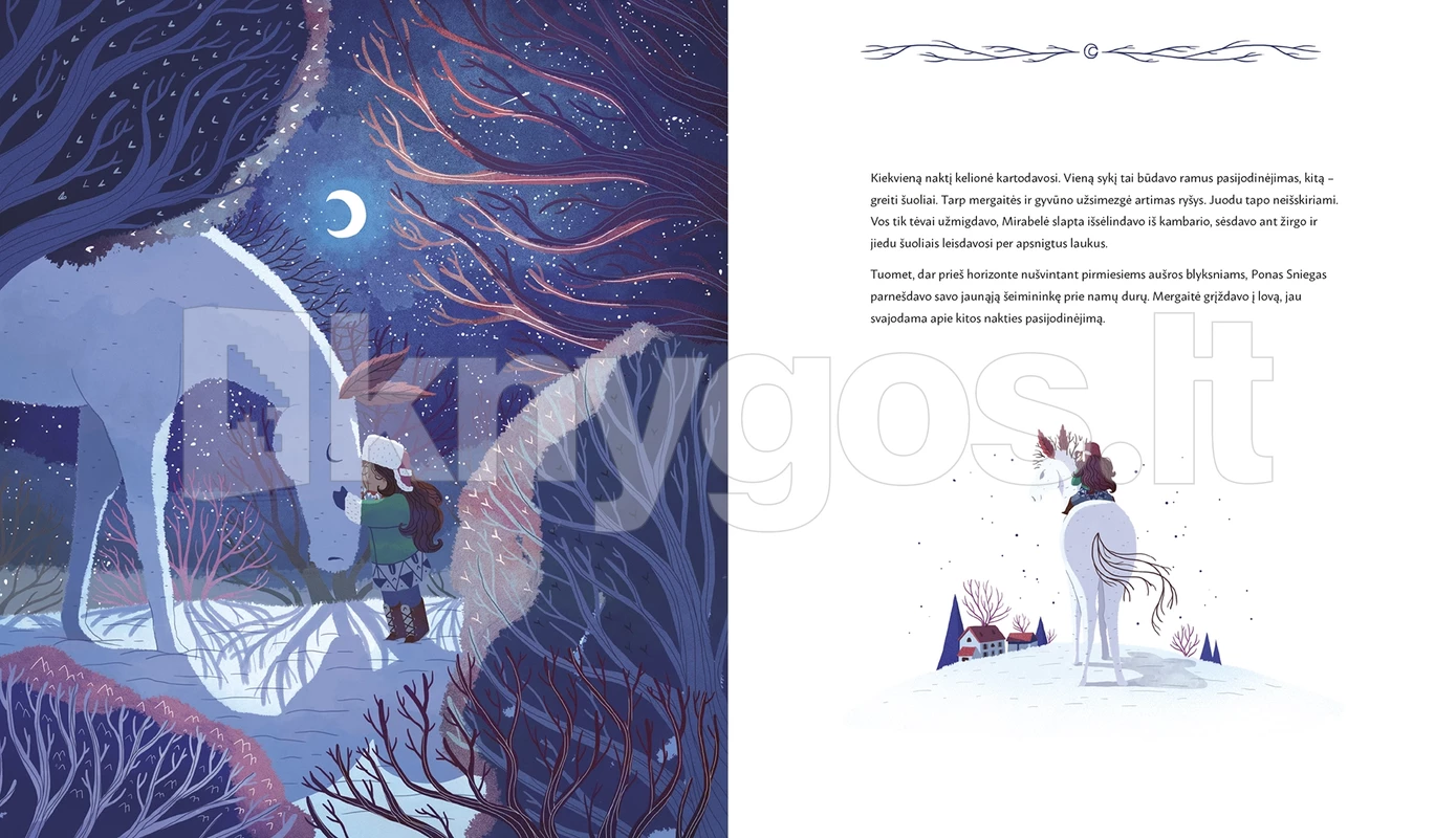 Ponas Sniegas | Knygos.lt