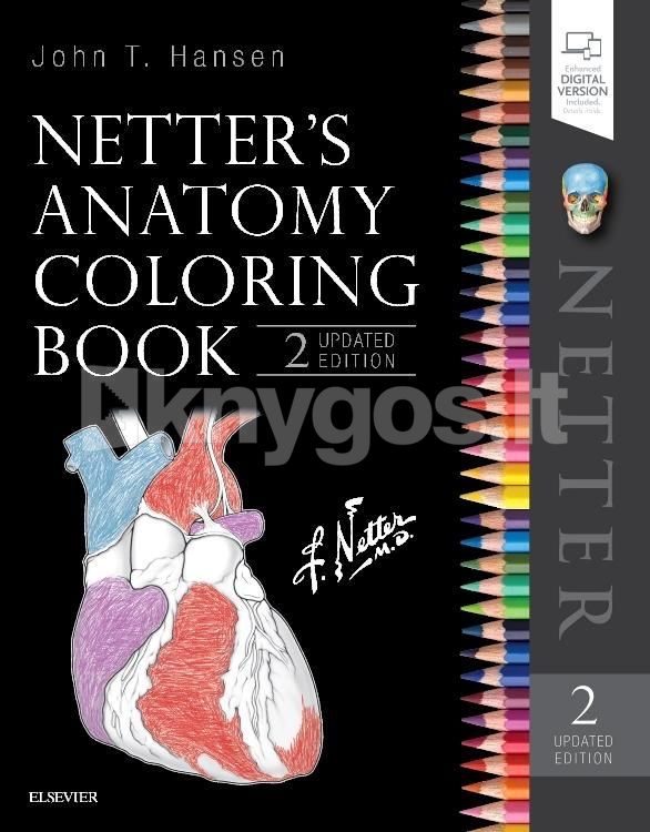 Netter's Anatomy Coloring Book Updated Edition
