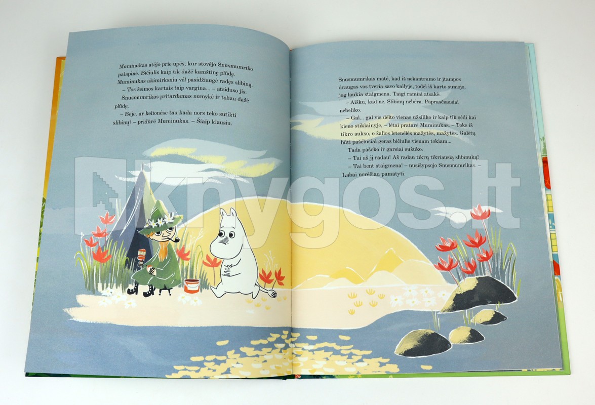 Trolis Mumis ir paskutinis slibinas | Knygos.lt