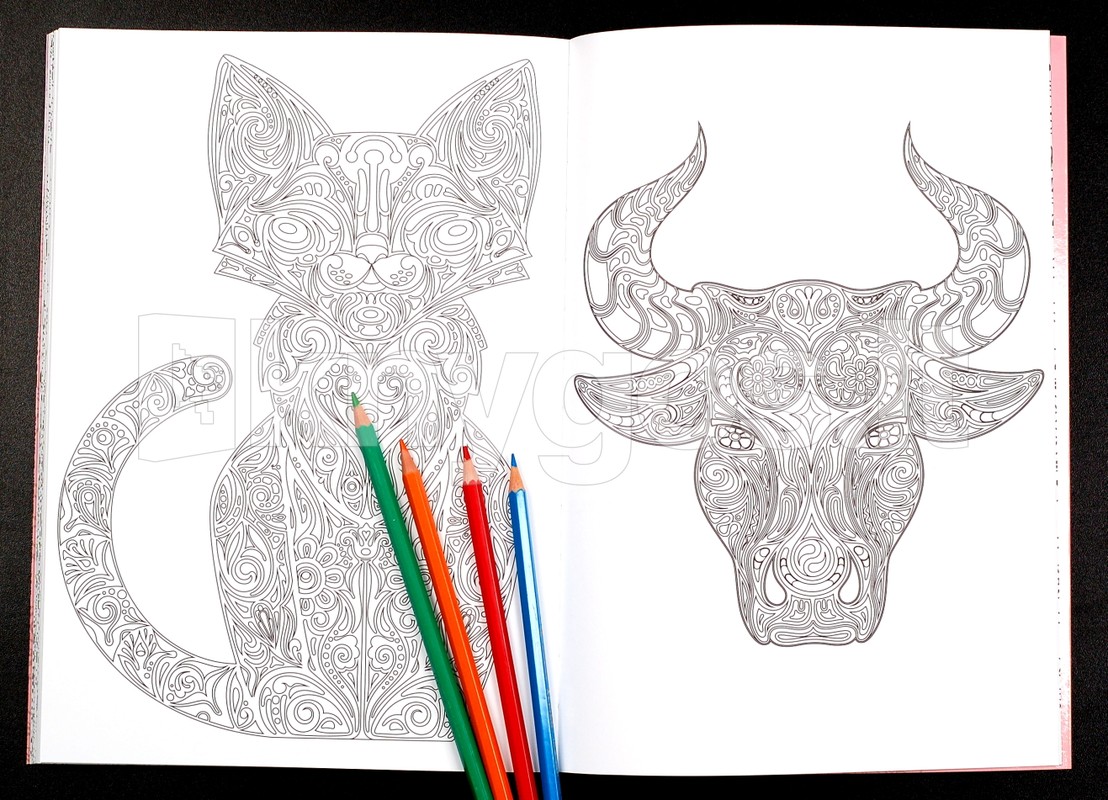 MANO FANTAZIJOS SPALVOS. Daugiau nei 100 nuostabių būdų pasireikšti ...