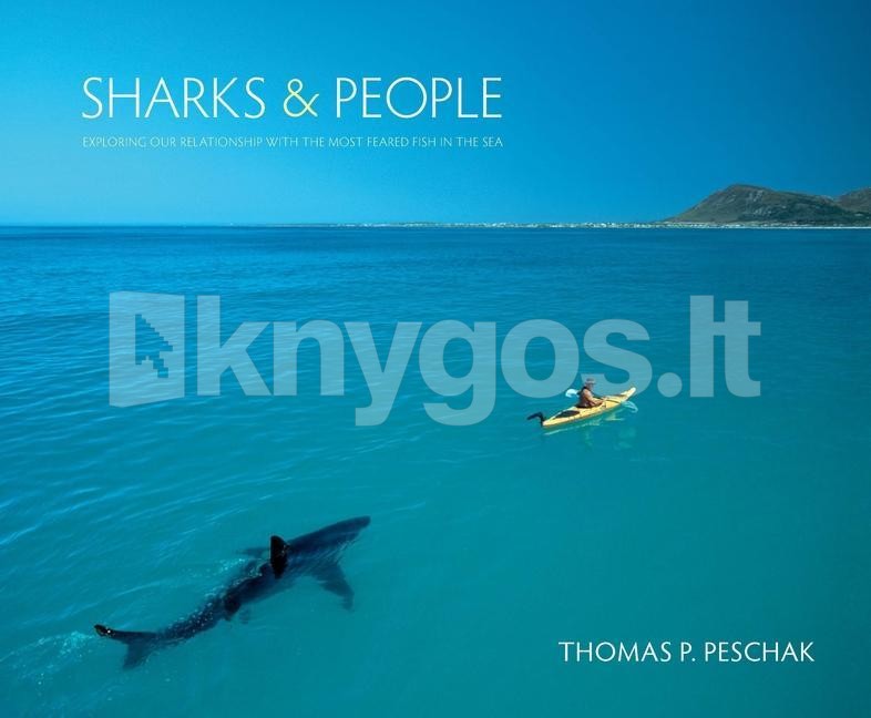 Sharks & People: Exploring Our Relationship with the Most Feared Fish ...