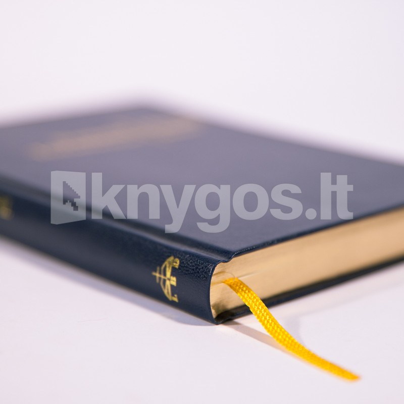 Naujasis Testamentas (lietuvių/rusų k.) | Knygos.lt