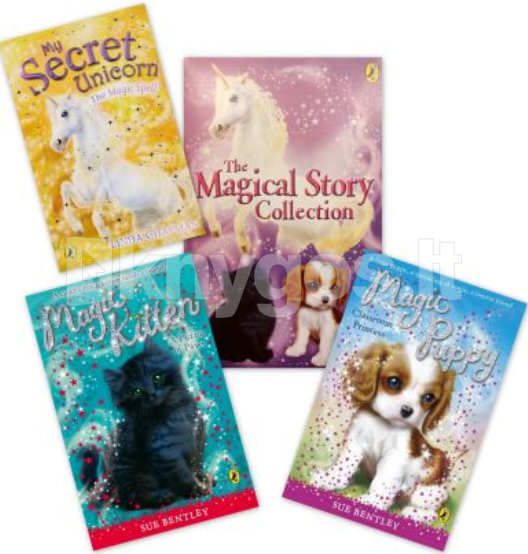 The Magical Story Collection: 3 Books Set in Slipcase: The Secret ...