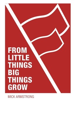 From little things big things grow | Knygos.lt