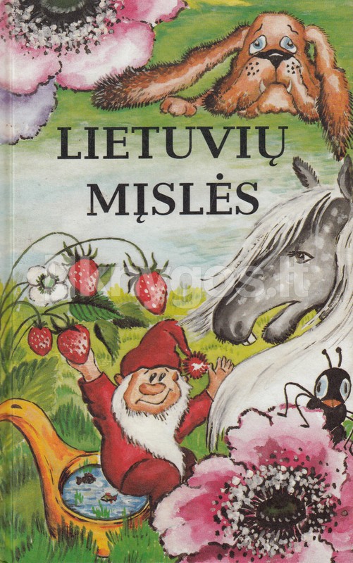 Lietuvių mįslės | Knygos.lt