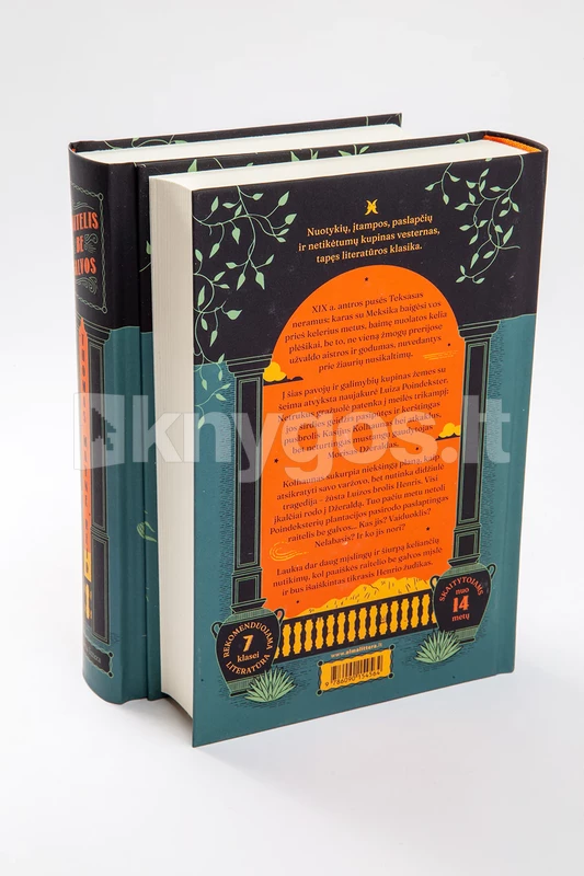 Raitelis be galvos | Knygos.lt