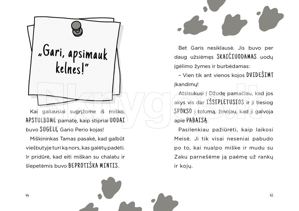 Pabaisa ir dingę užkandžiai. Mokyklos detektyvai, 8 dalis
