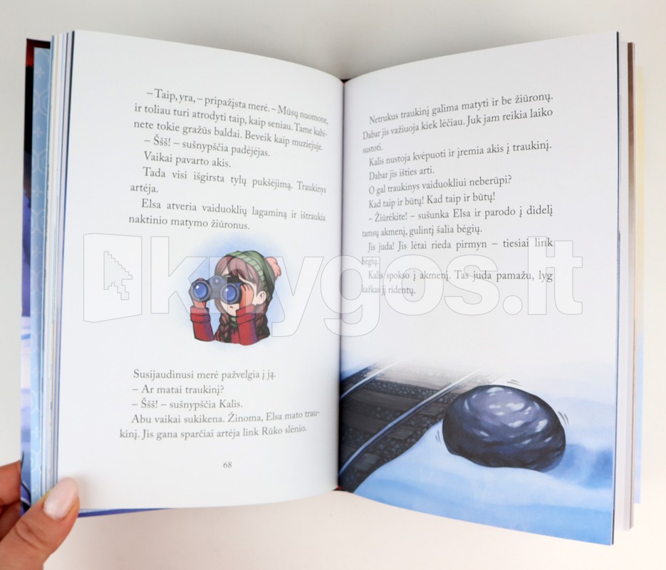 Didžiosios traukinių mįslės byla. 4 dalis | Knygos.lt