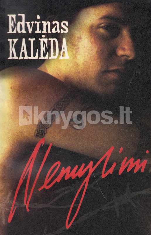 Nemylimi (2001) (skaityta knyga) | Knygos.lt