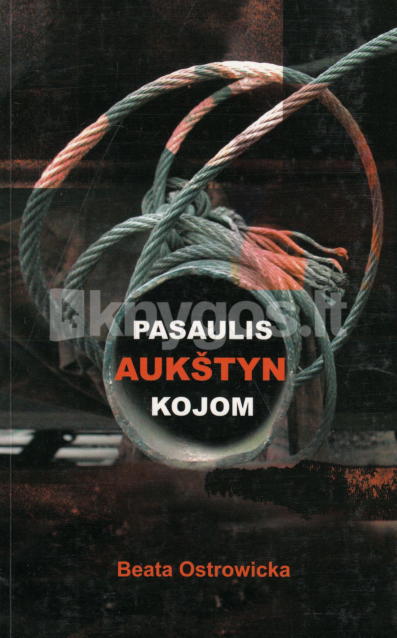 Knyga Pasaulis aukštyn kojom - Knygos.lt