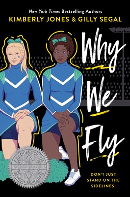 Why We Fly | Knygos.lt