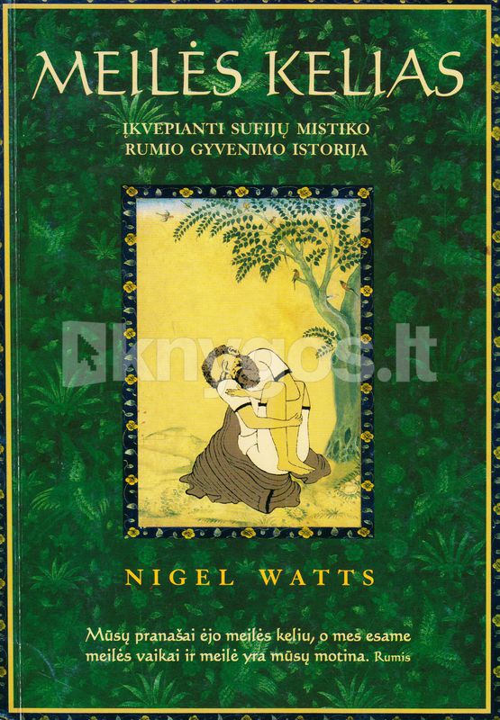 Meilės kelias (skaityta knyga) | Knygos.lt