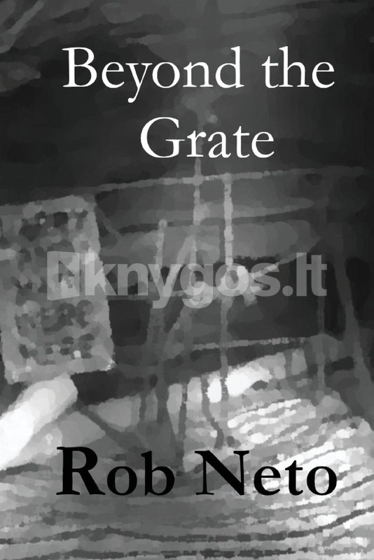 Beyond the Grate | Knygos.lt