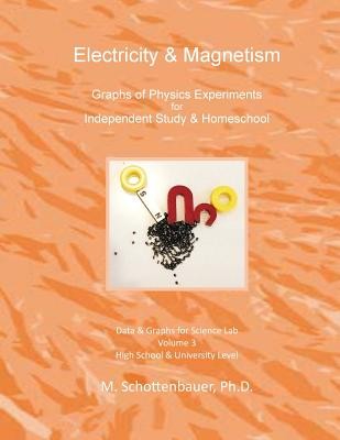 Electricity & Magnetism | Knygos.lt