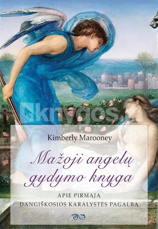 Mažoji angelų gydymo knyga. Apie pirmąją dangiškosios karalystės pagalbą