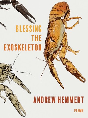 Blessing the Exoskeleton | Knygos.lt