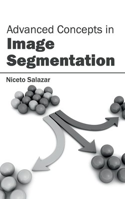 Advanced Concepts in Image Segmentation | Knygos.lt