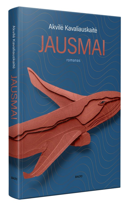 JAUSMAI. Nostalgiškas romanas skraidina į 2009-uosius