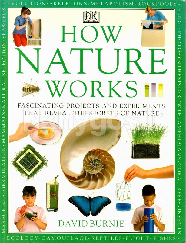 How Nature Works | Knygos.lt