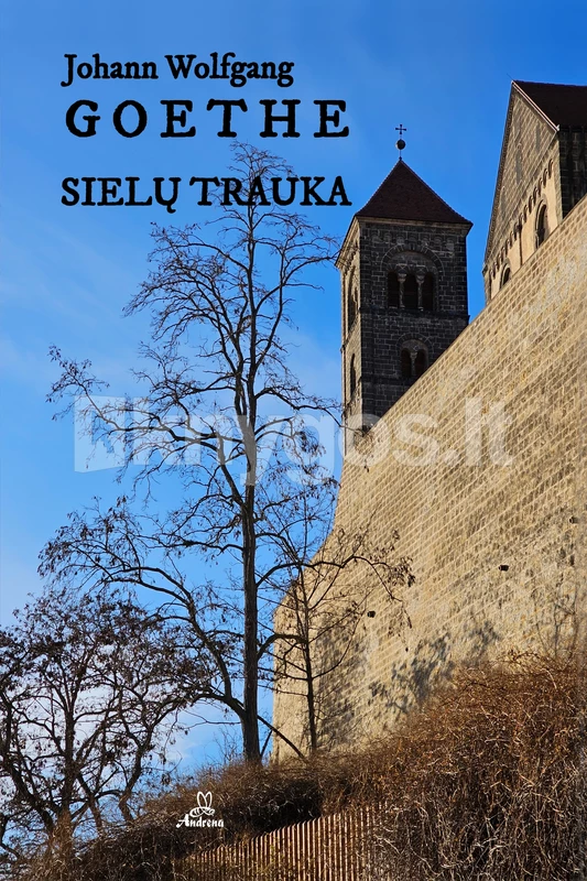 Sielų trauka | Knygos.lt