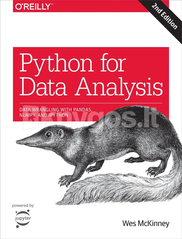 Python for Data Analysis | Knygos.lt