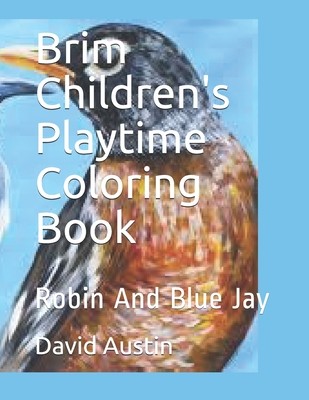 Brim Children's Playtime Coloring Book | Knygos.lt