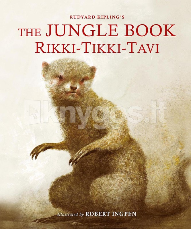 The Jungle Book: Rikki-Tikki-Tavi | Knygos.lt