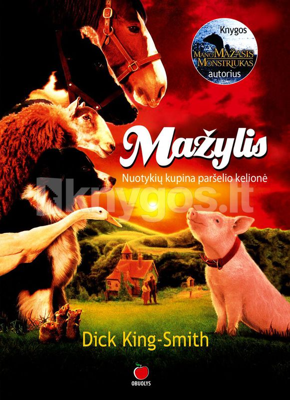 Mažylis | Knygos.lt