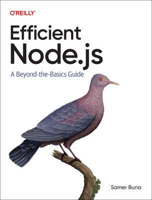 Efficient Node.Js | Knygos.lt