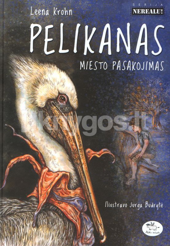Pelikanas. Miesto pasakojimas (skaityta knyga)