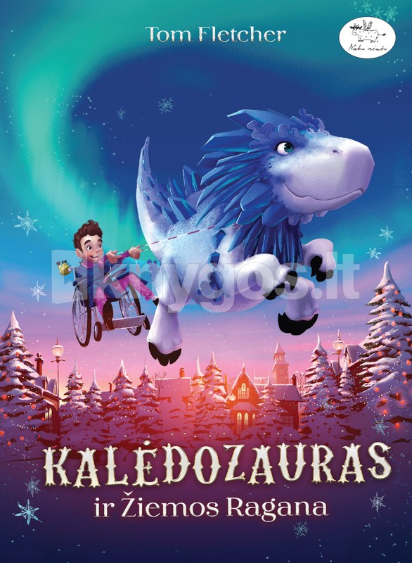 Kalėdozauras ir žiemos ragana | Knygos.lt