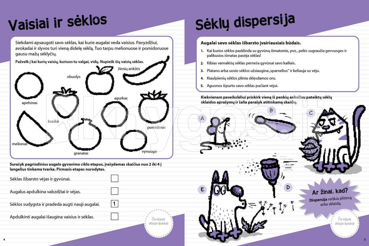 Gamtos mokslų pagrindai. Namų darbai – vieni juokai